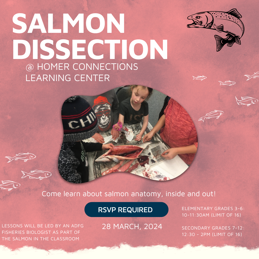 Homer- Salmon Dissection - Connections