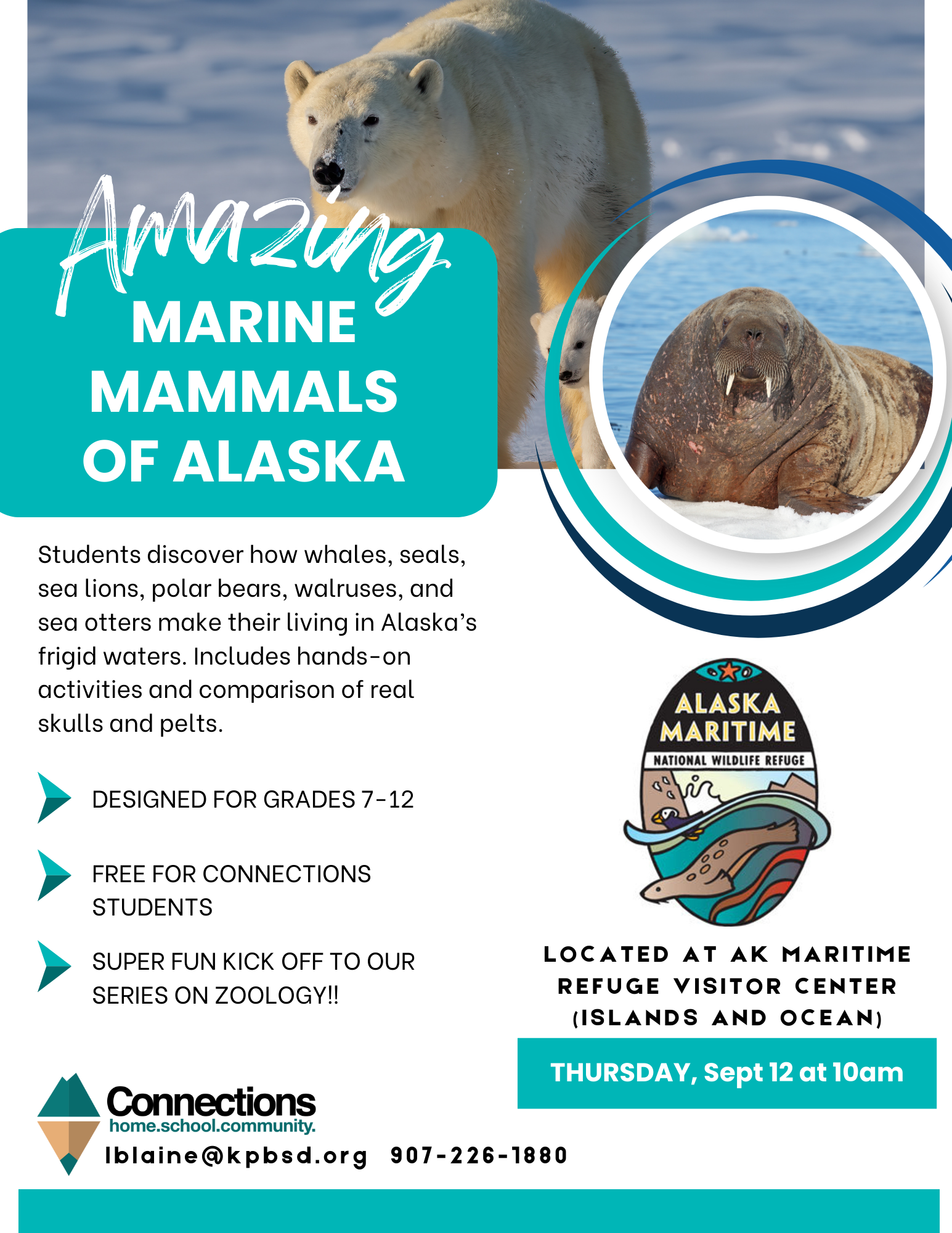 Homer- Marine Mammals Grades 7th-12th - Connections