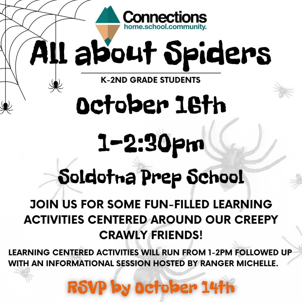 SOLDOTNA- All About Spiders Event - Connections